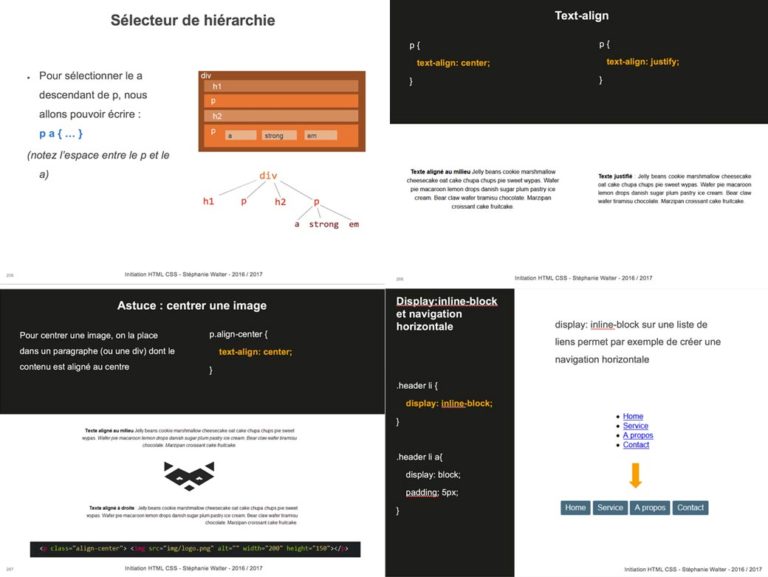 Initiation Html Et Css Le Pdf De Formation Stéphanie Walter Ui Et